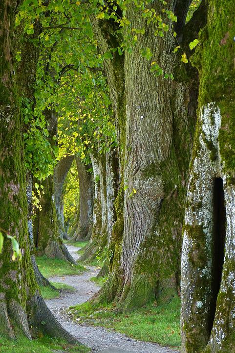 Do Not Enter the Path of the Wicked! - Dennis Conrad Author